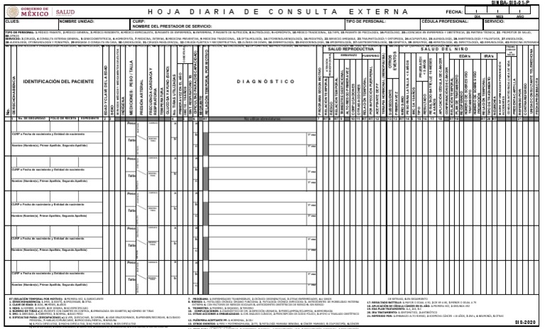 Sinba-Sis-01-P 2020 | PDF | Ciencias de la Salud | Cuidado de la salud