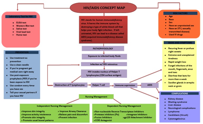 Understanding HIV/AIDS: A Concept Map of the Disease Process, Risk ...