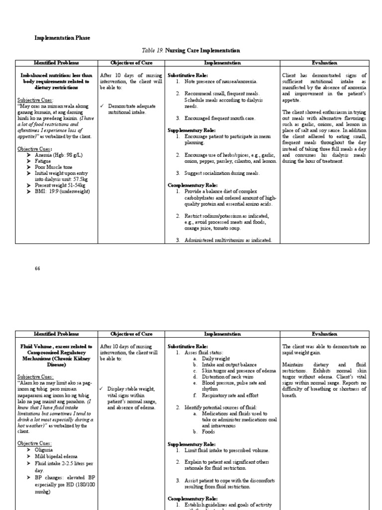 Implementation Phase: Table 19. Nursing Care Implementation | PDF ...