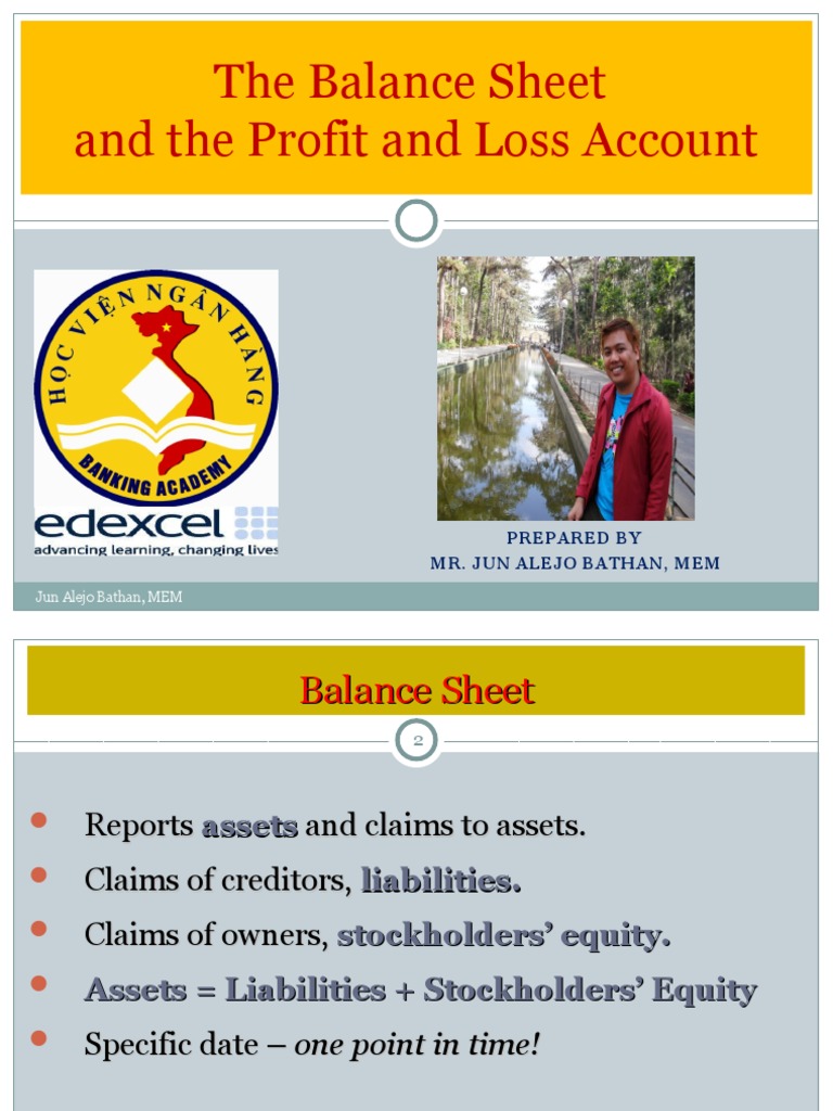 The Balance Sheet and Profit and Loss Statement | PDF | Equity (Finance ...