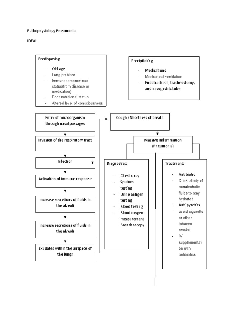 Pathophysiology Pneumonia | PDF | Pneumonia | Lung