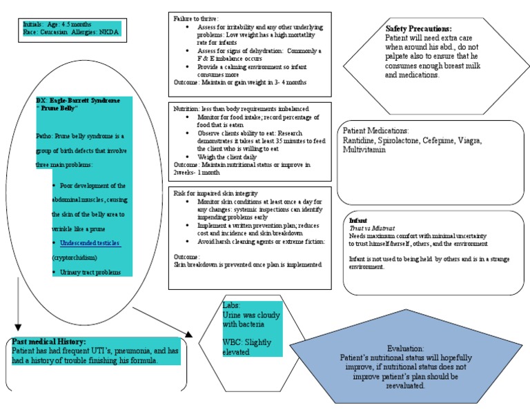 PED concept map | Urinary Tract Infection | Health Sciences