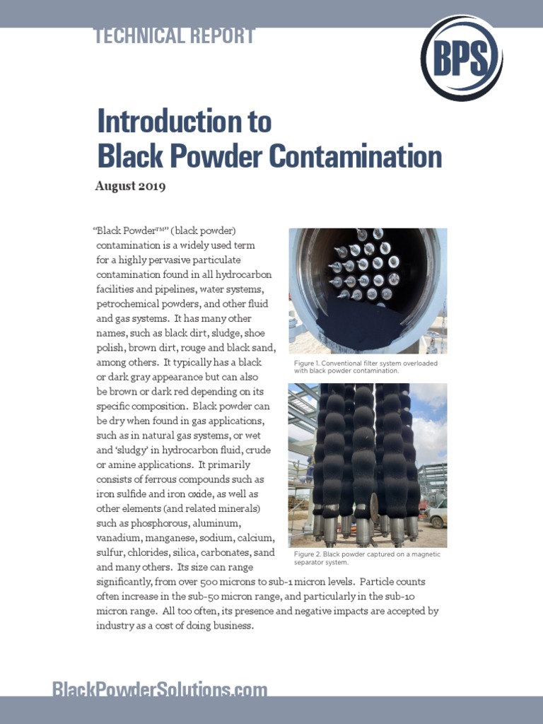 Black Powder Contamination Guide | PDF | Iron | Wear