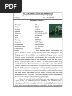 Deskripsi Batuan Beku: Dasit, Diorit Dan Gabro | PDF | Sains & Matematika | Teknologi & Rekayasa