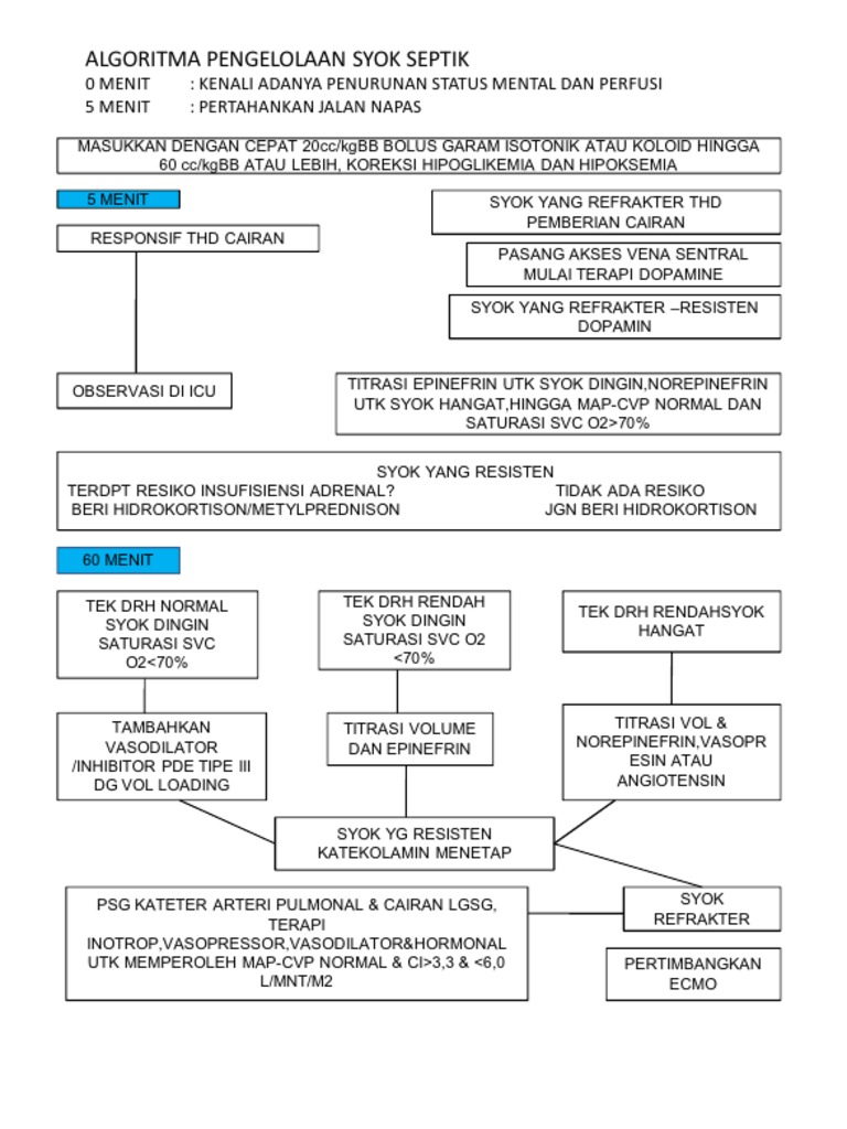 ALGORITMA Syok | PDF