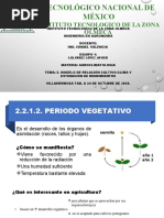Periodos, Fases Fenológicas y Subperiodos, Fenología 2 | PDF | Flores ...