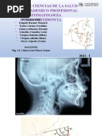 Hueso Esfenoides | PDF | Cabeza y cuello humanos | Cuerpo humano