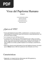 Triptíco VPH | PDF | Cáncer | Rtt