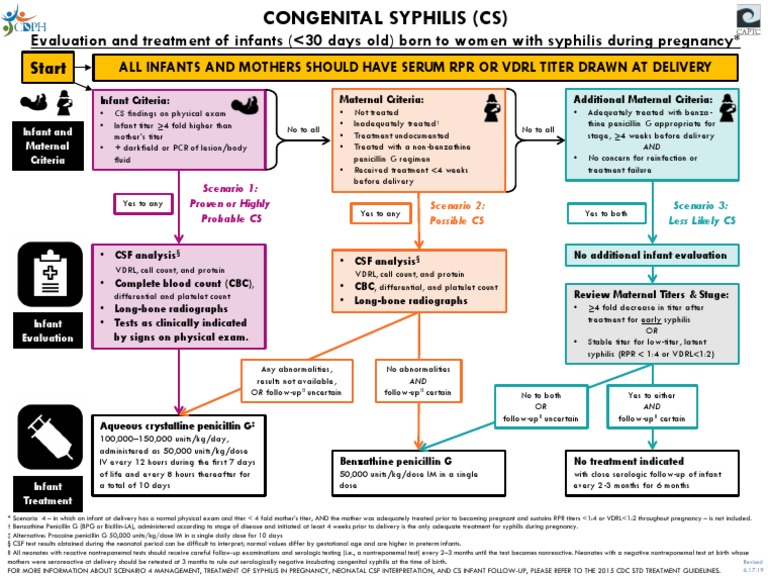 Congenital Syphilis - Algorithm-110919-1 | PDF | Childbirth | Pregnancy