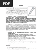 Motoneuronas Alfa y Gamma | PDF | Neurona motora | Músculo