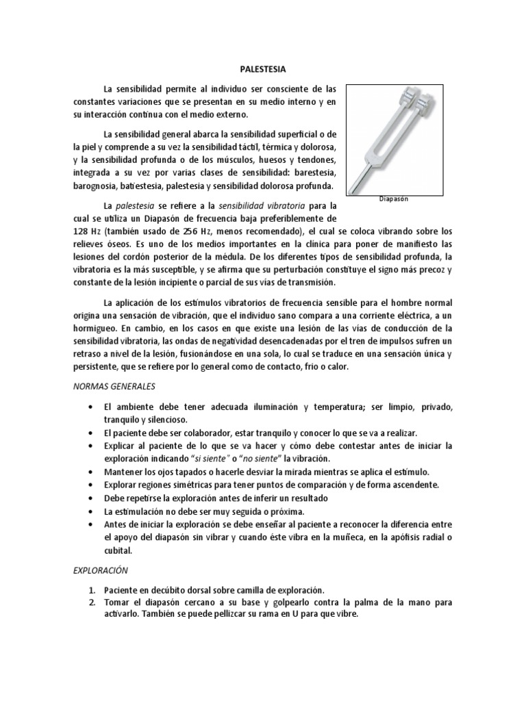 PALESTESIA Definicion y Exploración | PDF | Mano | Sistema ...