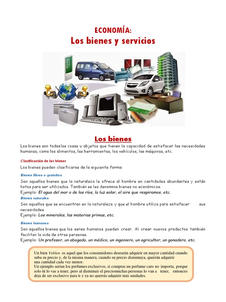 Economía, Bienes y Servicios | PDF | Bienes | Consumo (economía)