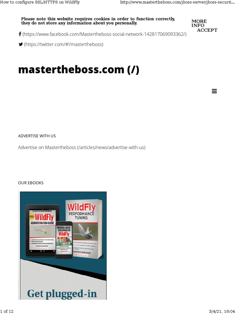Configure SSL Mastertheboss | PDF | Transport Layer Security | Public ...