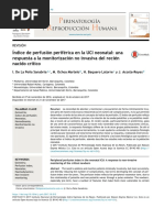 Proyecciones PA Y AP | PDF | Tórax (anatomía humana) | Anatomía