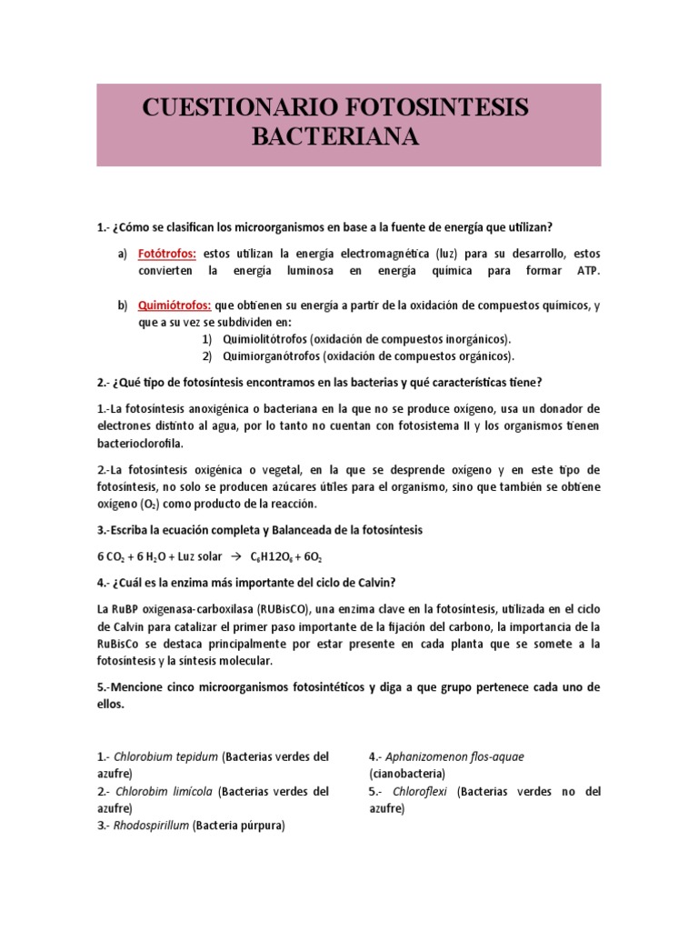 Quimiorganótrofos y fotosíntesis bacteriana | PDF