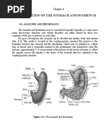 Anatomy and Physiology of Acute Gastroenteritis | PDF | Stomach ...