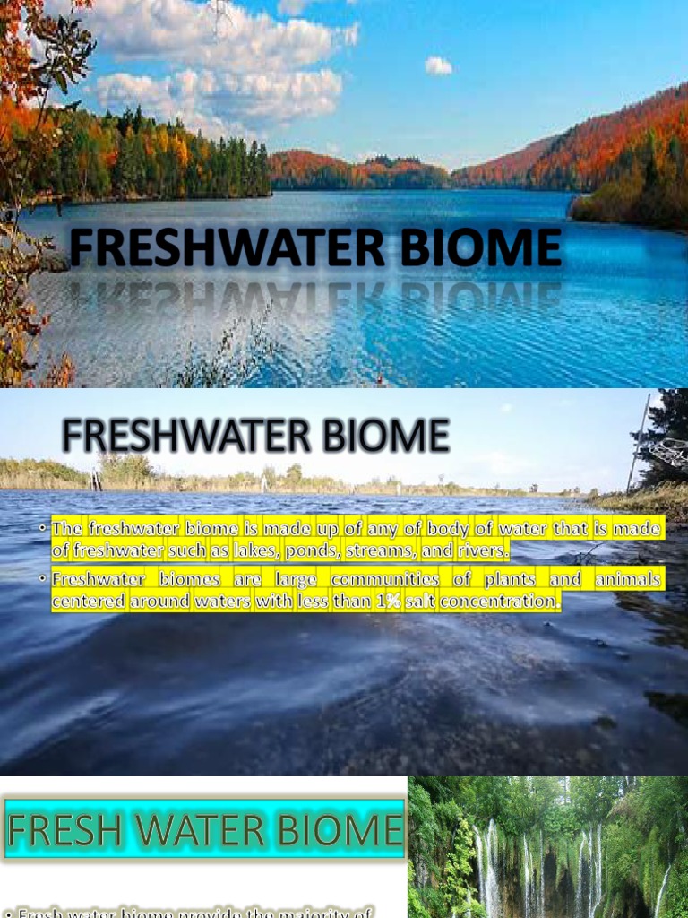 Freshwater Biome Plants