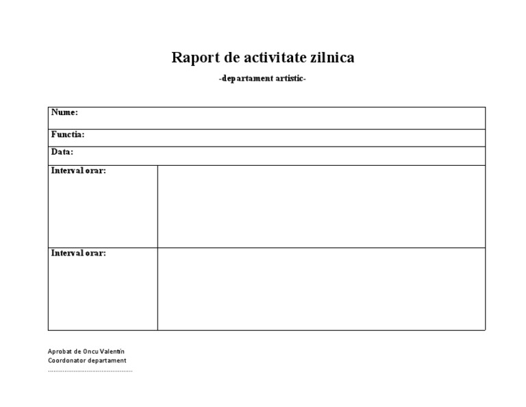 Raport de Activitate Zilnica | PDF