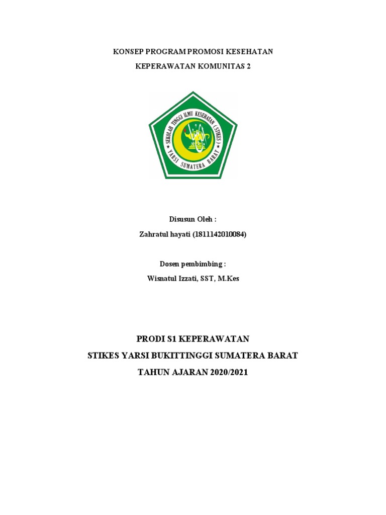 Konsep Program Promosi Kesehatan | PDF | Karier & Perkembangan ...
