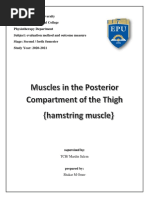 Aspetar Hamstring Protocol | PDF | Anatomical Terms Of Motion | Knee