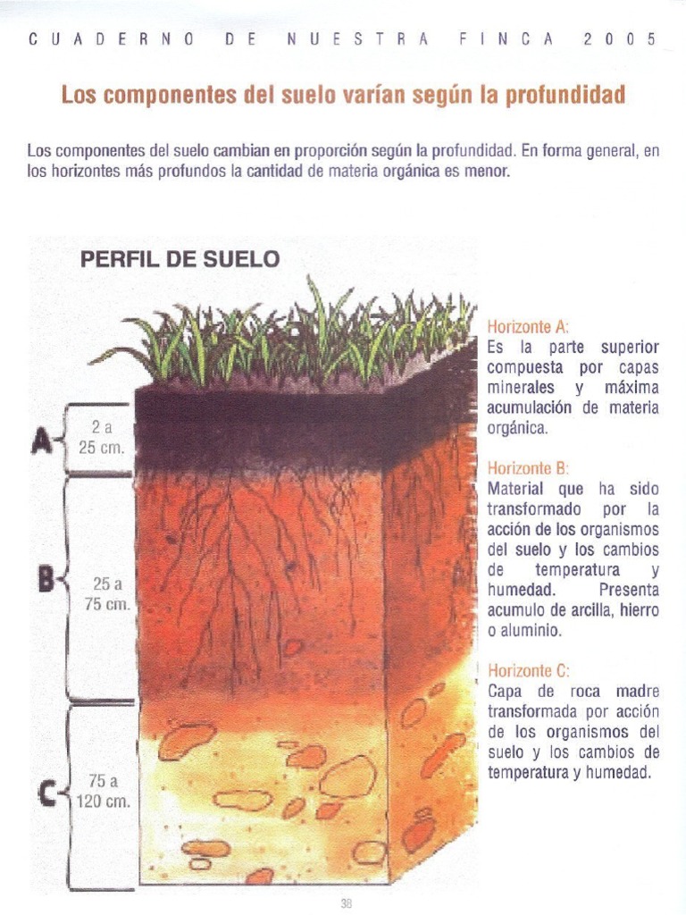 Componentessuelo | PDF