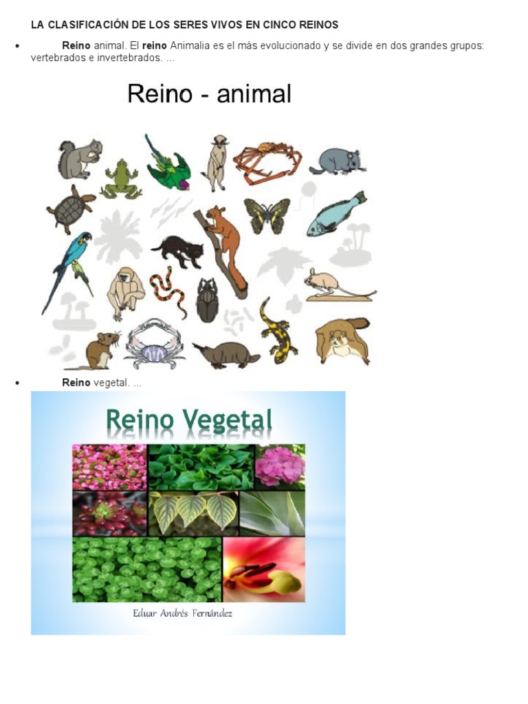 La Clasificación de Los Reinos | PDF