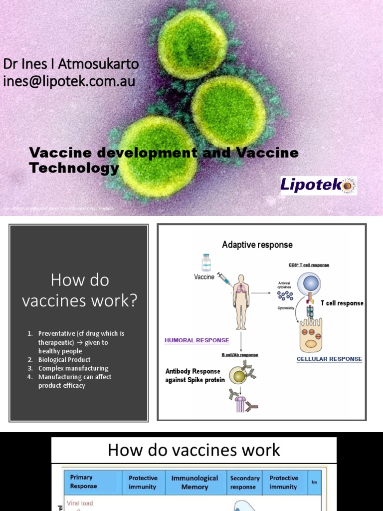 Materi Bu Ines Pada Webinar Series 3 FK Unand | PDF | Vaccines | Drug ...