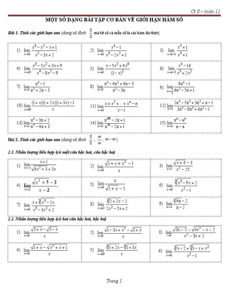 (123doc) - Chuyen-De-Gioi-Han-Ham-So-Lop-11 | PDF