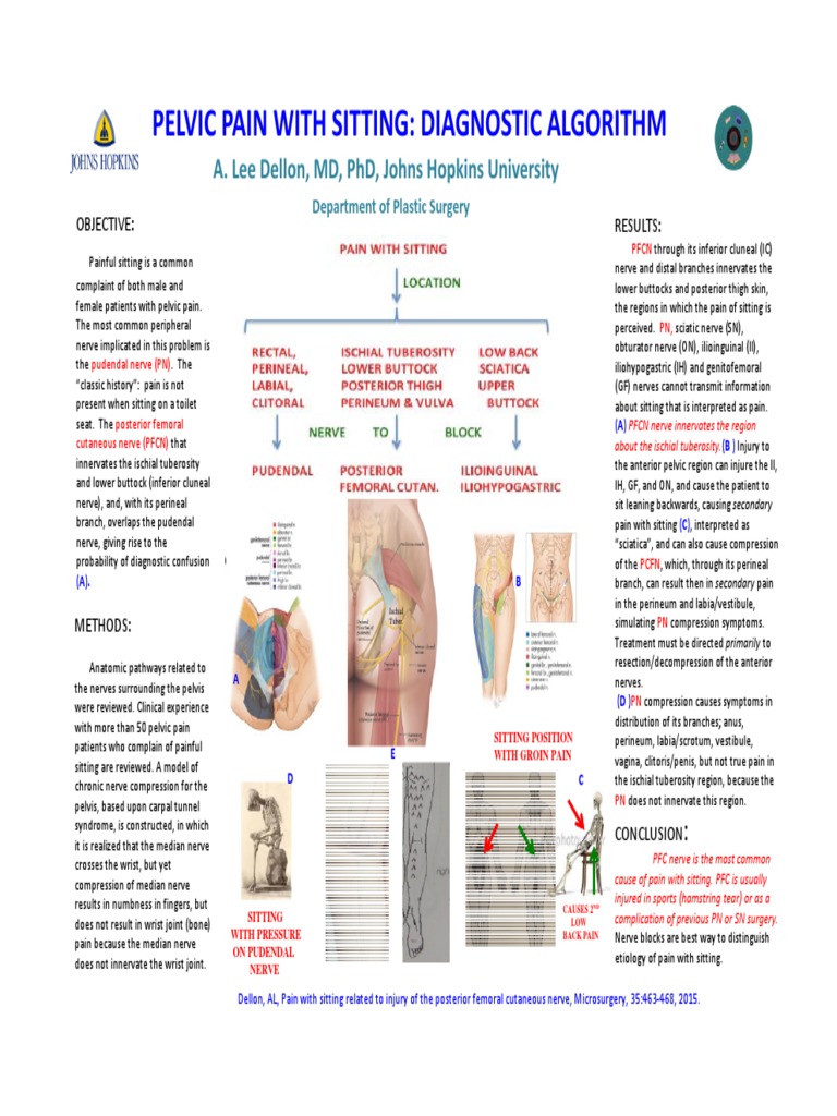 Pelvic Pain With Sitting: Diagnostic Algorithm: A. Lee Dellon, MD, PHD ...
