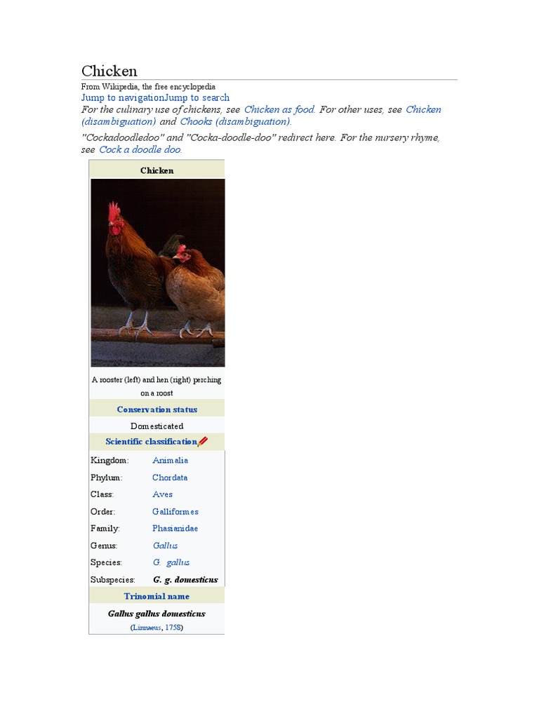 Chicken | PDF | Rooster | Chicken
