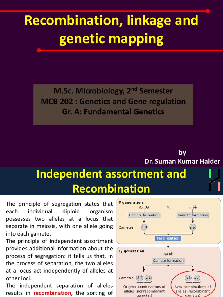 Recombination, Linkage and Genetic Mapping - LM1 | PDF | Genetic ...
