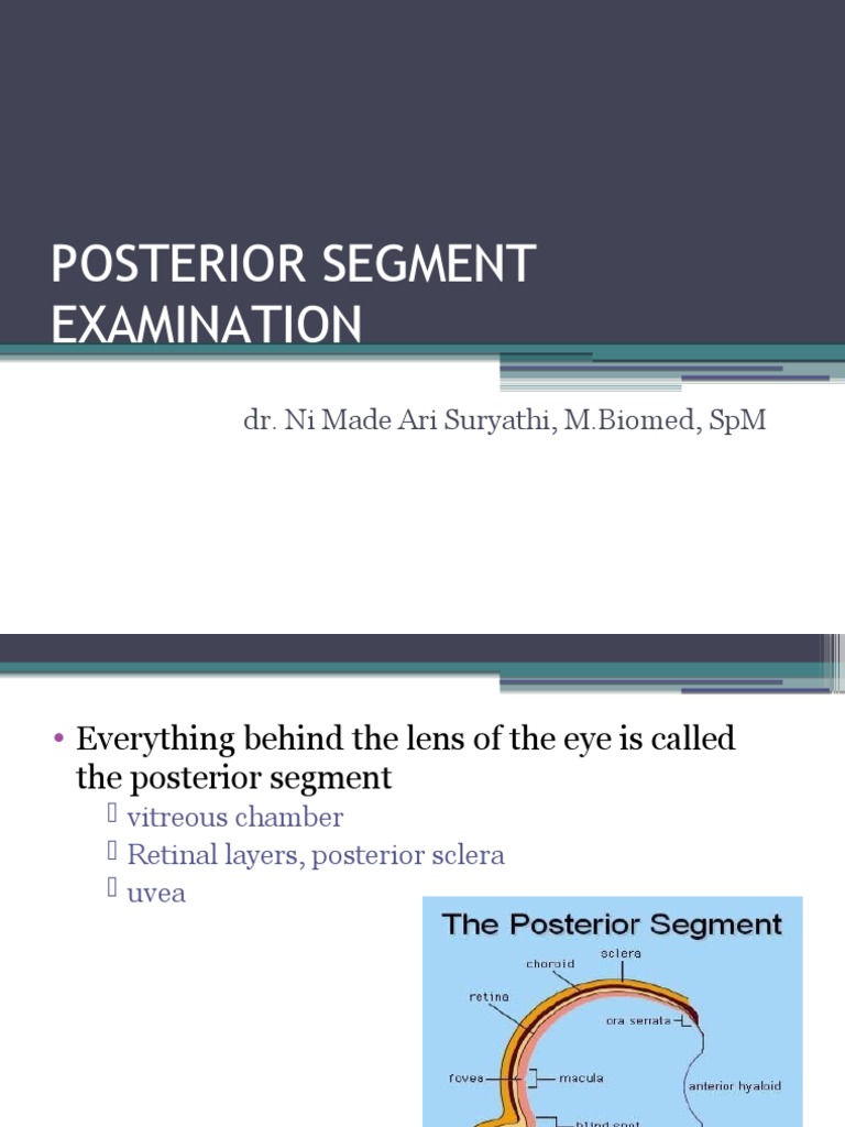Posterior Segment Examination | PDF | Retina | Eye