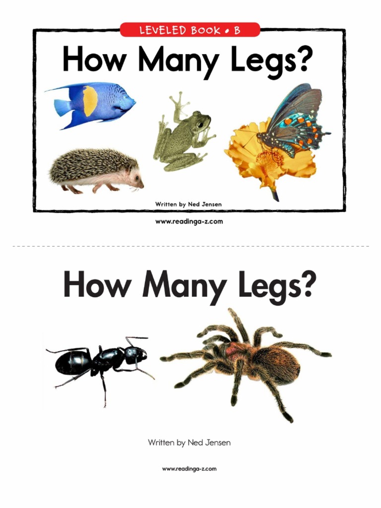 How Many Legs | PDF