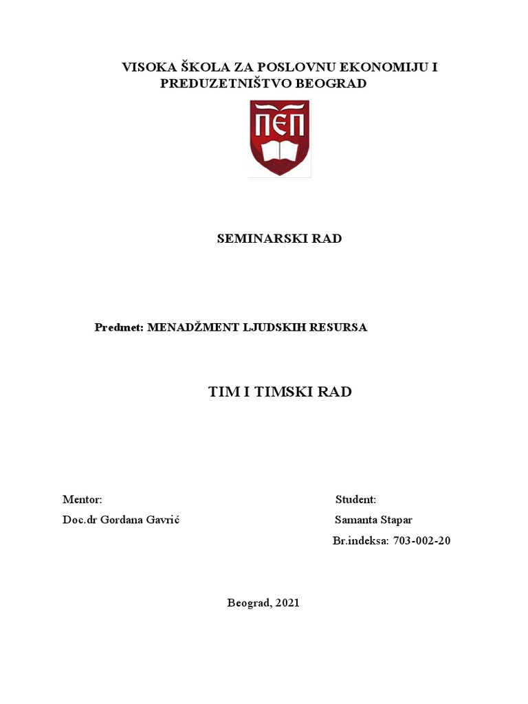 Tim I Timski Rad | PDF