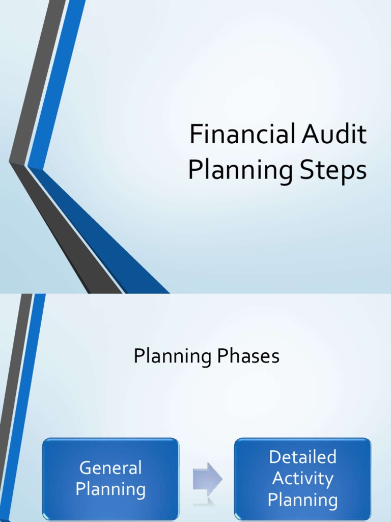 Audit Planning Steps | PDF