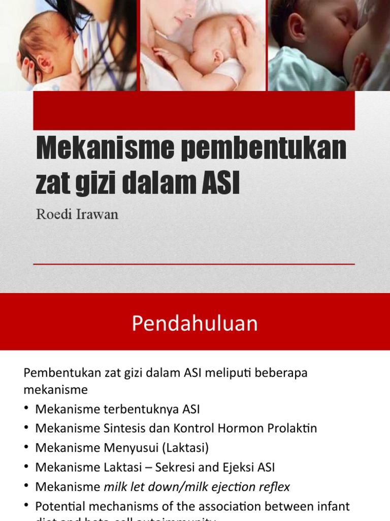 Mekanisme Pembentukan Zat Gizi Dalam ASI | PDF