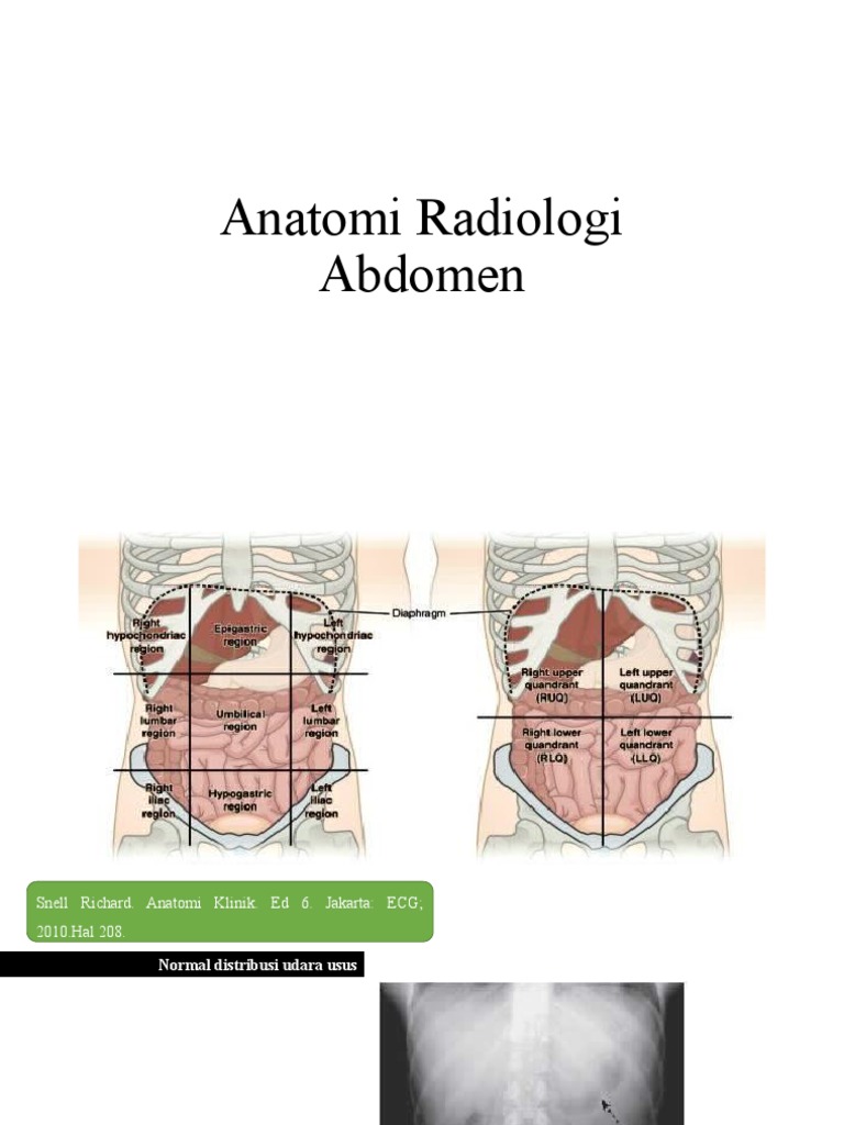 Radiologi Abdomen: Panduan Dasar | PDF