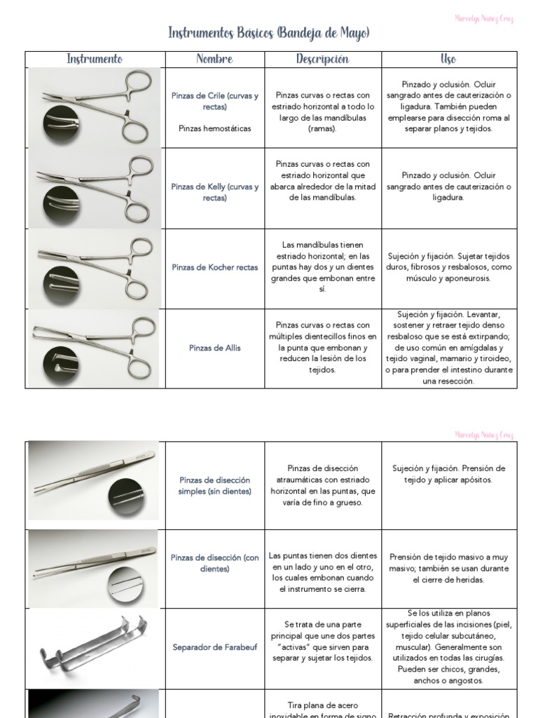 Instrumentos Básicos | PDF | Anatomía | Especialidades Medicas