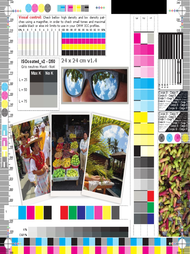 CMYK Label Test Print Form 240 X 240 MM | PDF | Interior Design ...