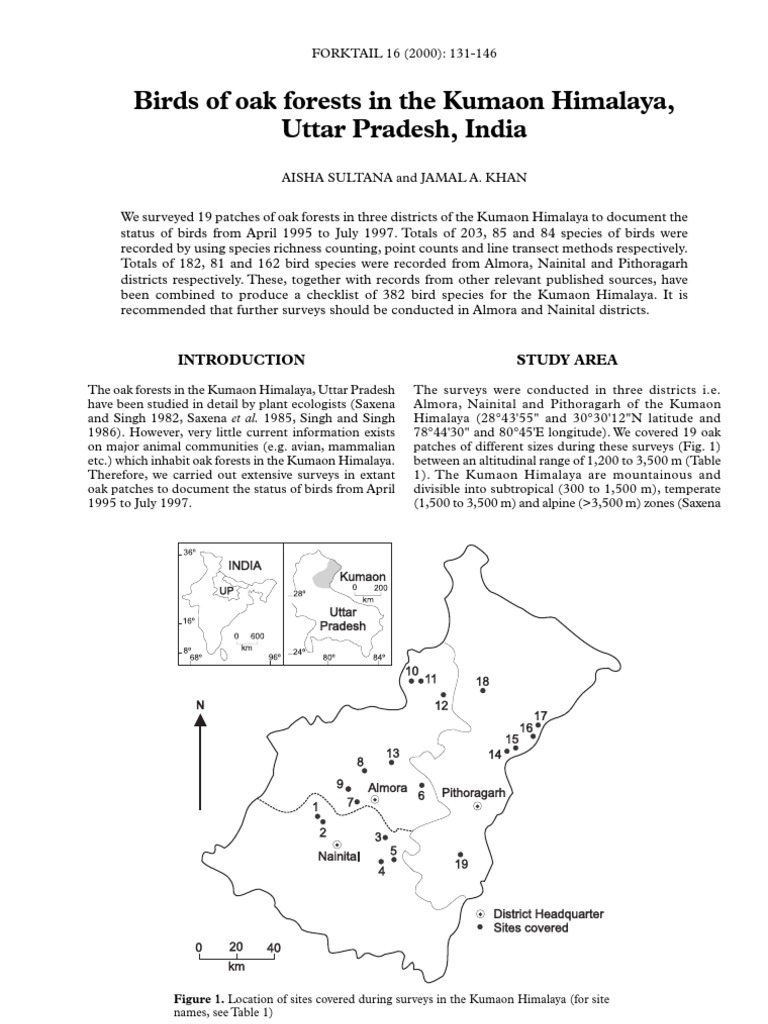 Birds of Oak Forests in The Kumaon Himalaya, Uttar Pradesh, India | PDF ...