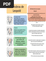 Efecto Poseiro | PDF | Placenta | Feto