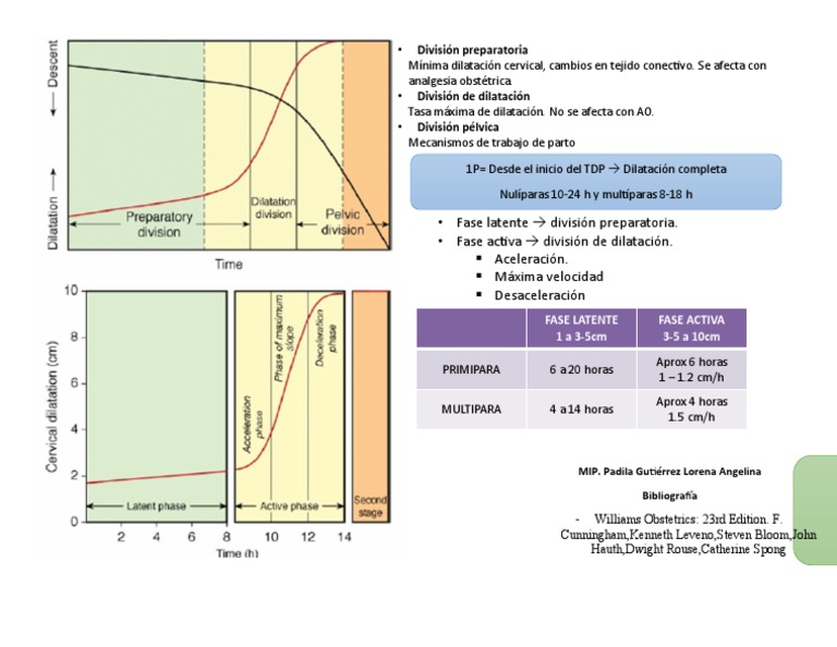 Curva de Friedman | PDF