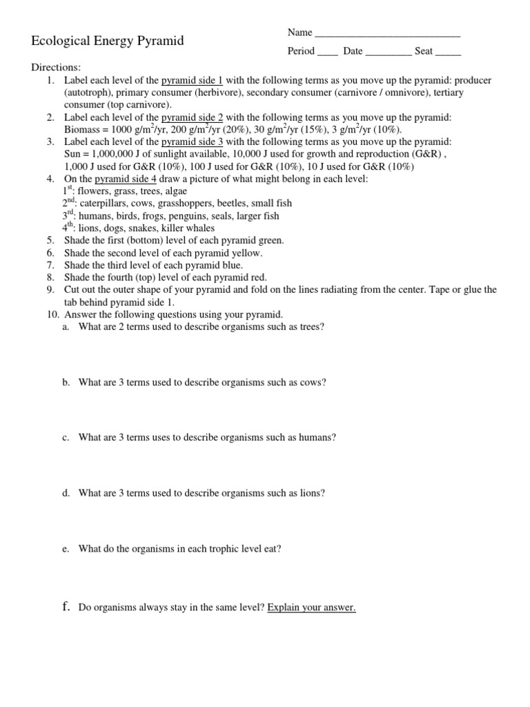 04 Ecological Pyramid 3-D Foldable | PDF