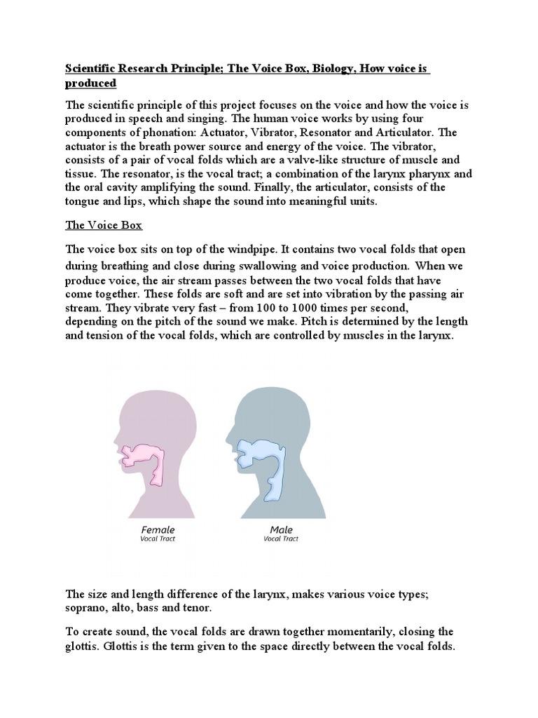 Scientific Research Principle The Voice Box, Biology, How Voice Is ...