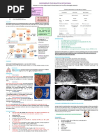 Clasificación Roper Hall y Dua | PDF