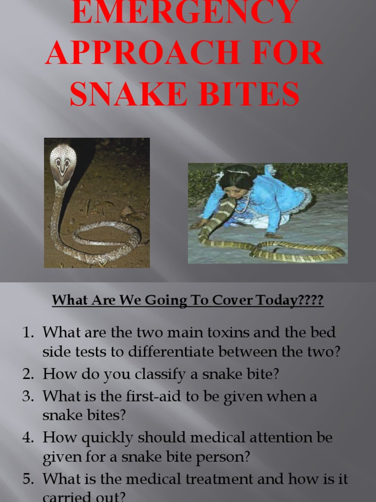 First Aid & Management of Snake Bites | PDF | Snake | Medical Specialties