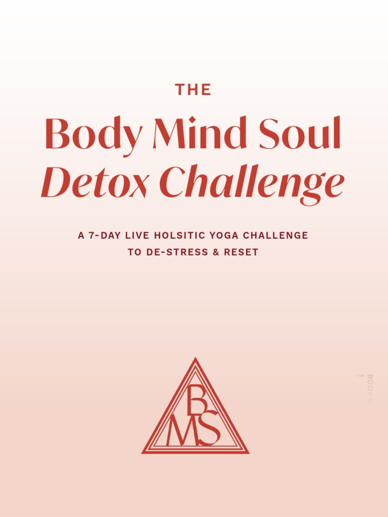 BMS Challenge Workbook Final! | PDF | Soul | Breathing