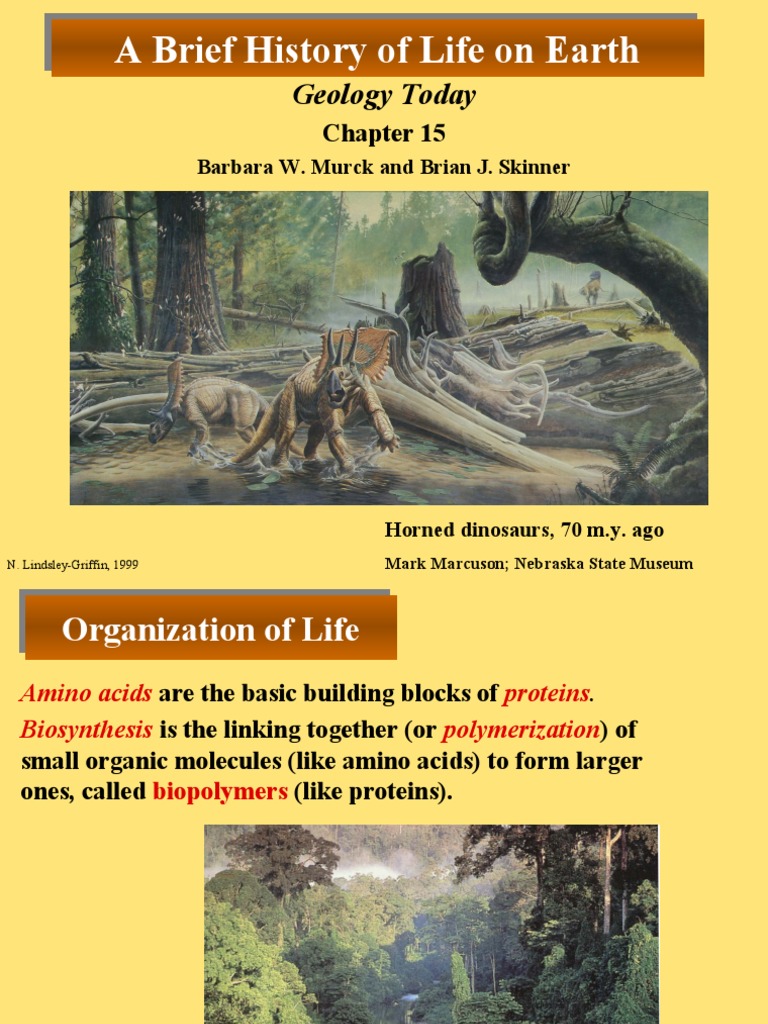 A Brief History of Life On Earth | PDF | Homo | Life