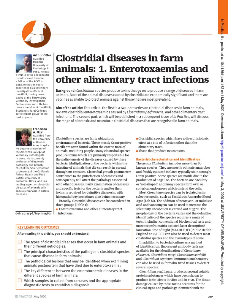 Clostridial Diseases in Farm Animals. | PDF | Pathology | Bacteria
