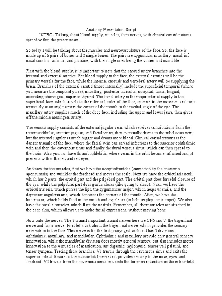 Anatomy Presentation Script | PDF | Common Carotid Artery | Angiology